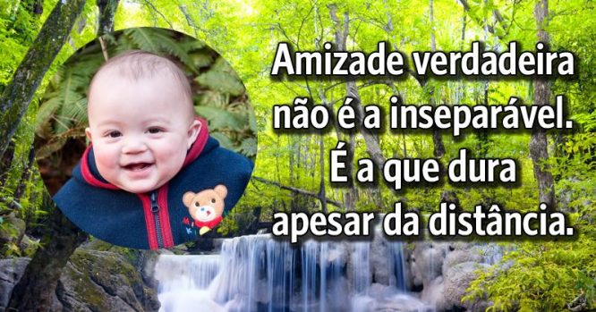 A verdadeira amizade não é a inseparável, mas a que persiste com a ...